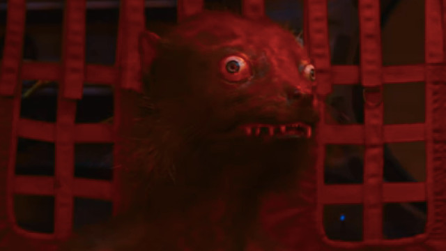 New Clips From The Suicide Squad Highlight Starro and Weasel
