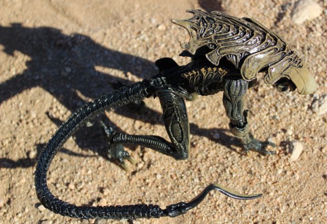 Toy Review: NECA Alien Vs Predator Arcade Game Xenos, Movie-Style