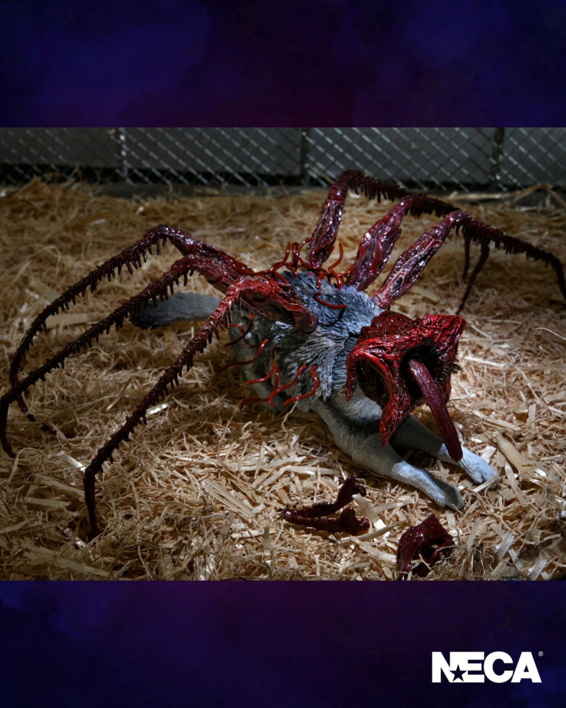 NECA The Thing Dog Creature Figure Release Date & Details