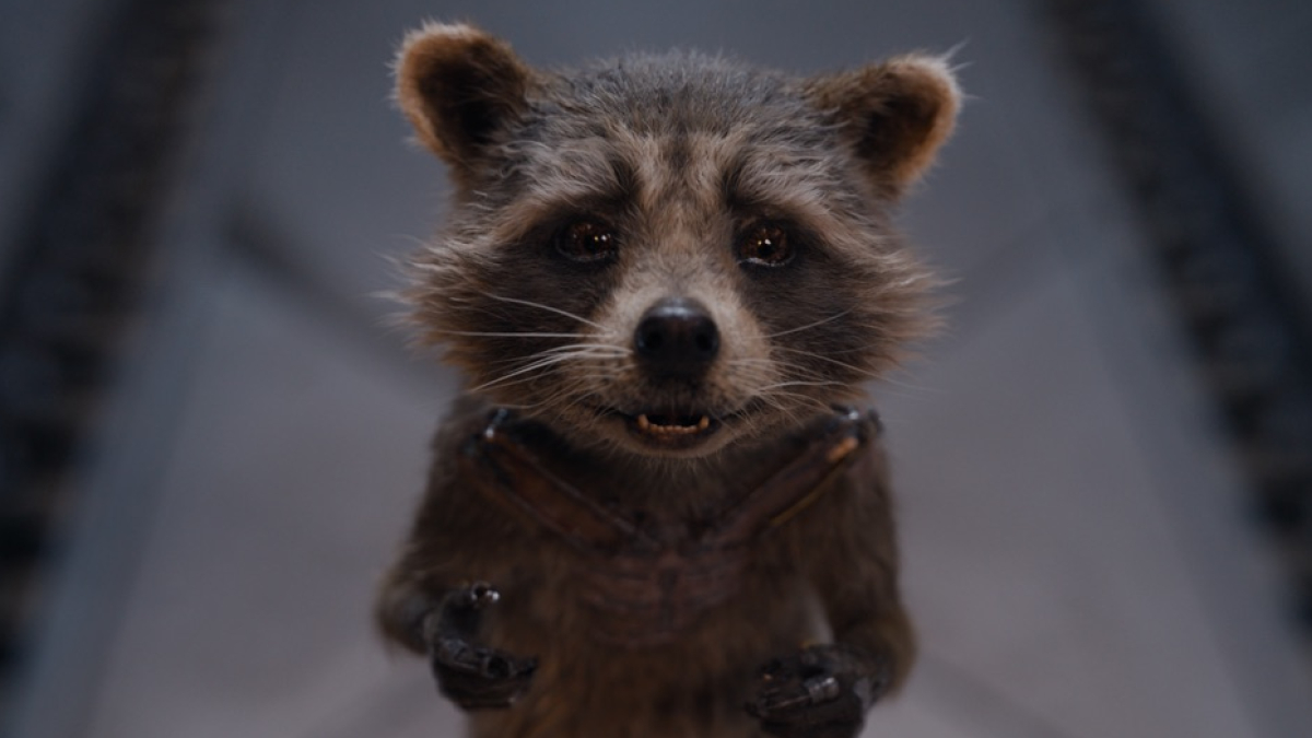 GOTG 3's Bradley Cooper Describes How He Embodied Rocket's Grief