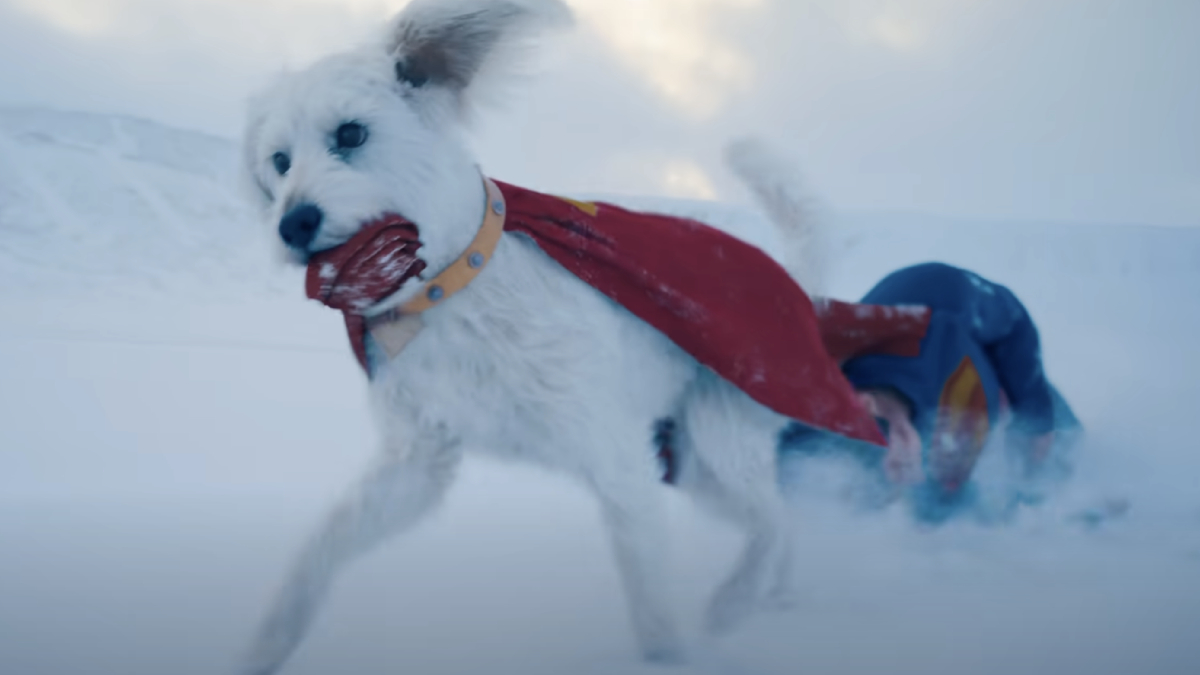 Superman’s Krypto the Superdog to Star in Series of DCU Short Movies ...