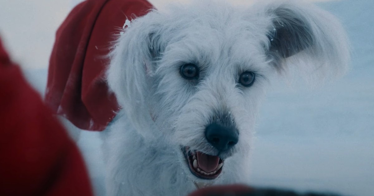 What Is Krypto's Dog Breed in Superman 2025? - Comic Book Movies and ...