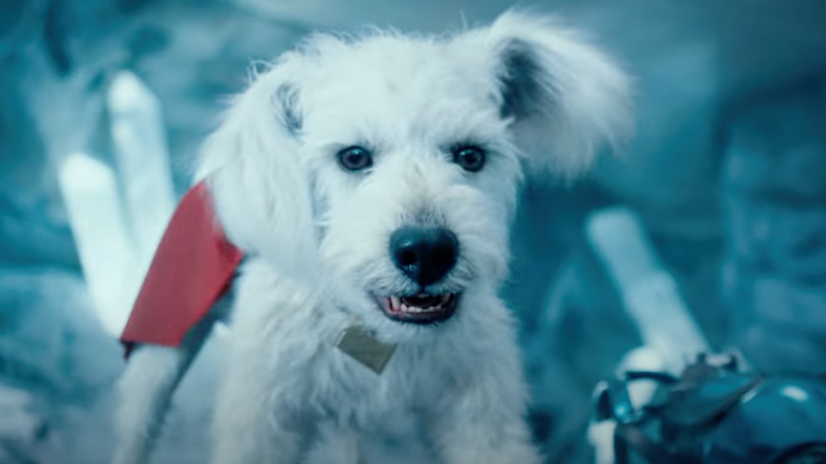 Superman Trailer: Fans Are Loving Krypto Even More After The Engineer ...