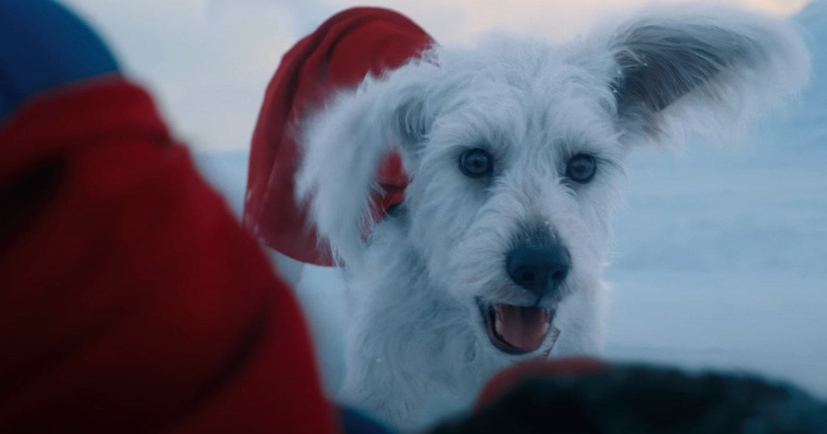 Superman Director James Gunn's Dog Barks at Krypto in a Wholesome Clip ...