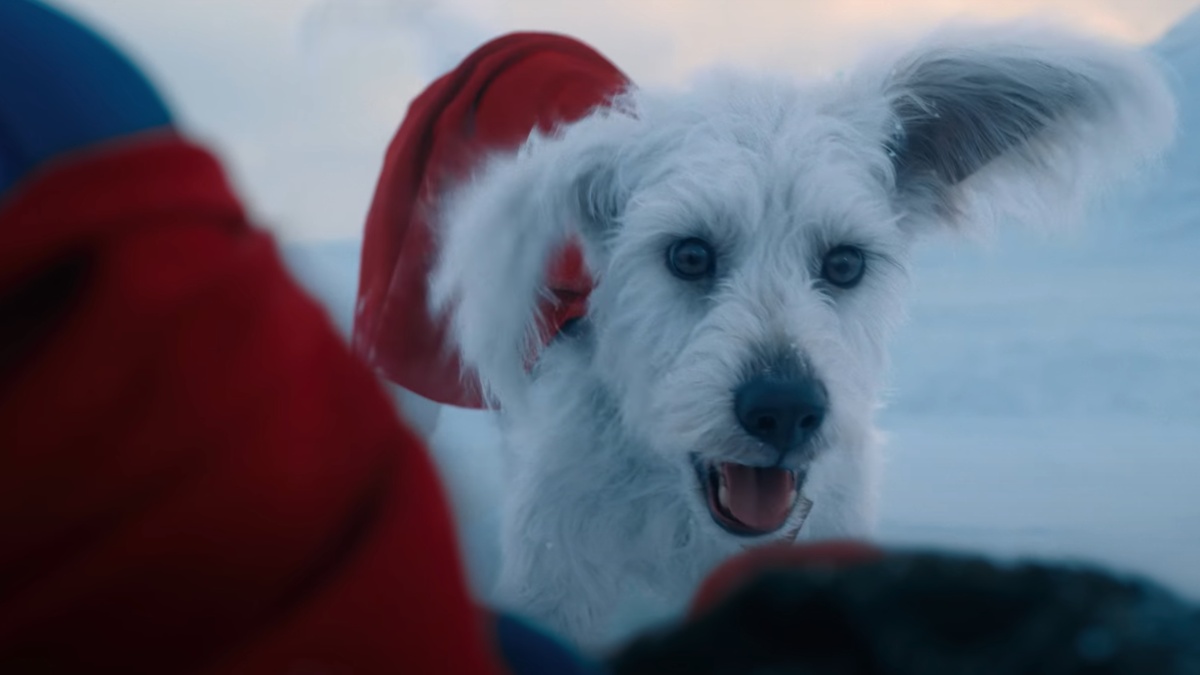 Superman Director James Gunn's Dog Barks at Krypto in a Wholesome Clip ...