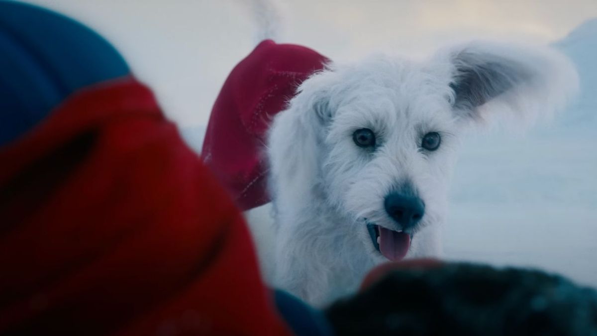 How Krypto Injured Mister Terrific in This Superman Deleted Scene Revealed