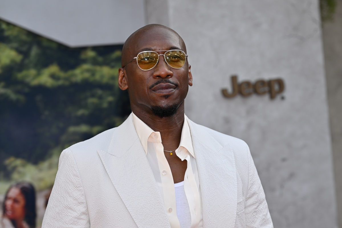 Blade Movie Cast: Who Has Left? Mahershala Ali Still Attached? - Comic ...