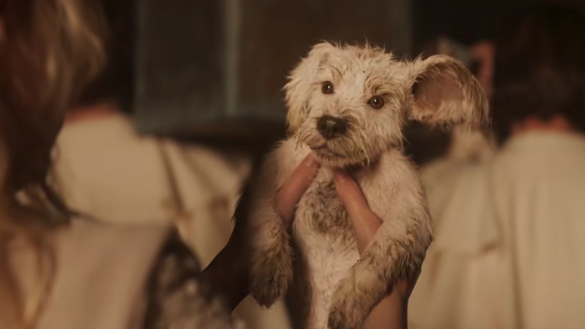 Supergirl Puppy Bowl Trailer & Poster Show Krypto as a Little Dog ...