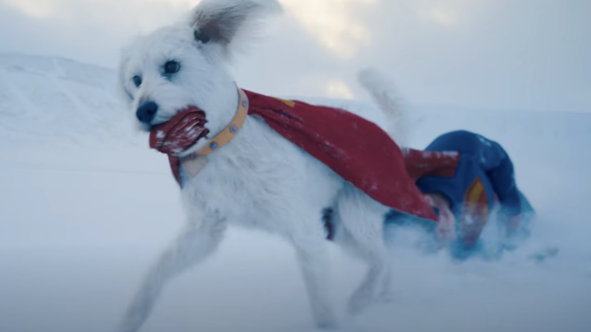 Supergirl: Watch Adorable Krypto Puppy Meet Superman in New DCU Video ...