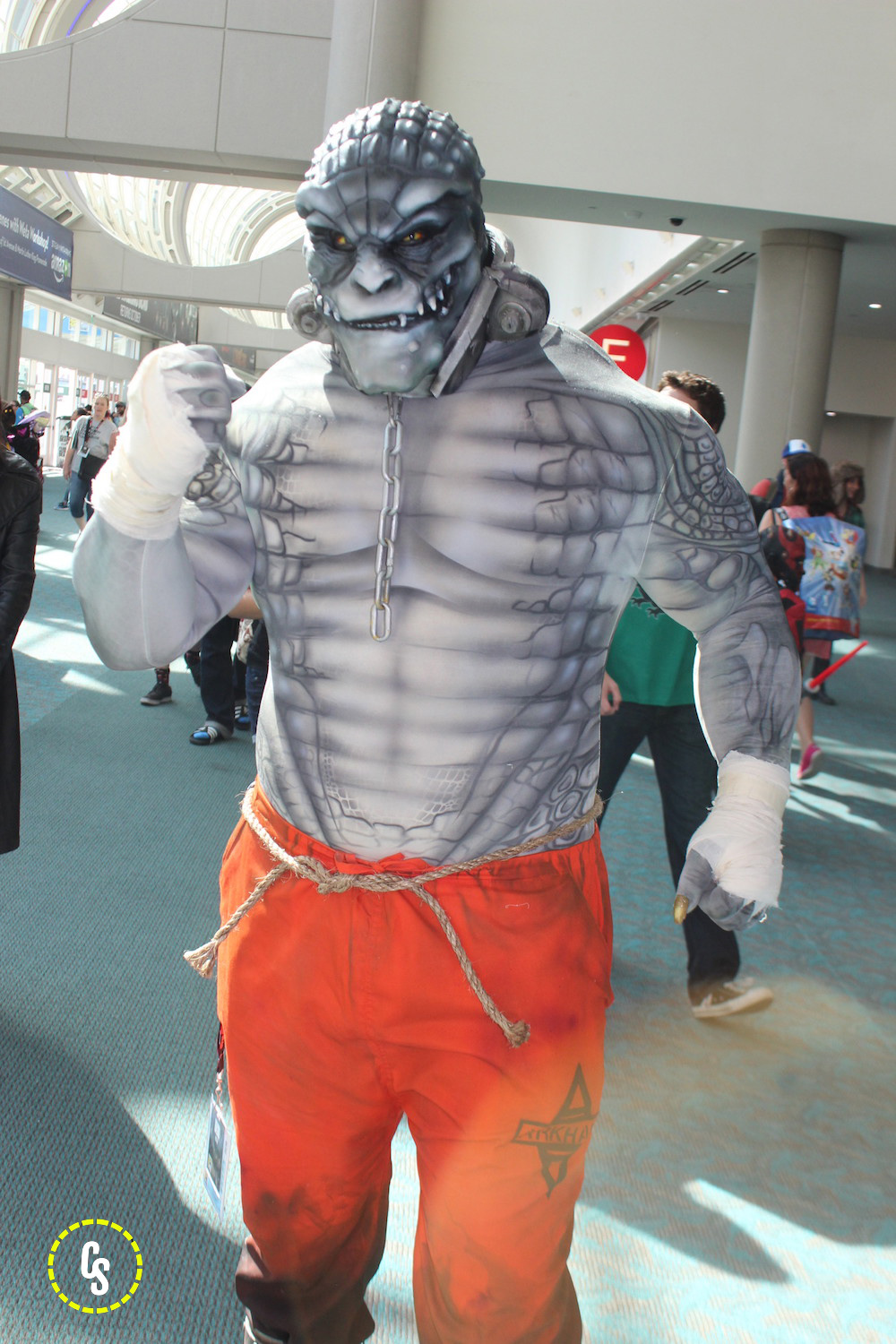New SDCC Cosplay Gallery - Check it Out at SuperHeroHype