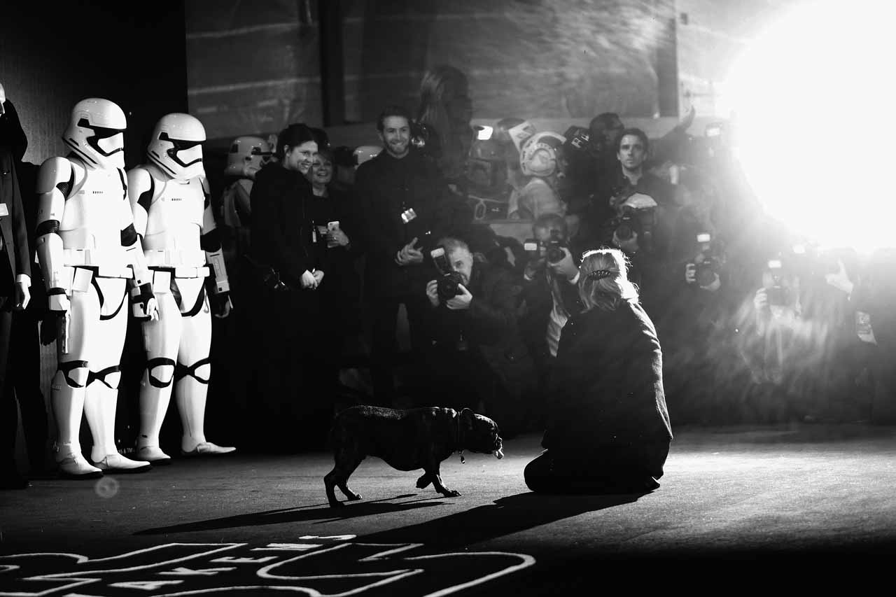 London Premiere Photos for Star Wars: The Force Awakens